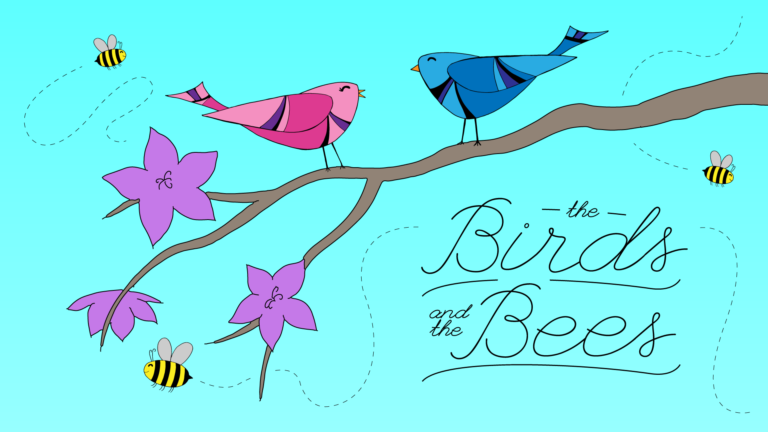 The Birds and the Bees - PursueGOD Kids